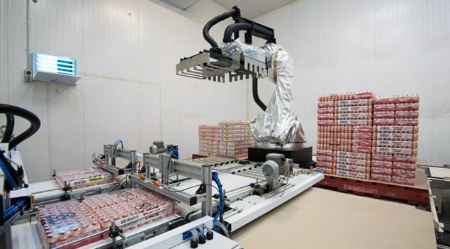 Yakult manufacturing facility now has a new robotic arm! - Yakult Australia